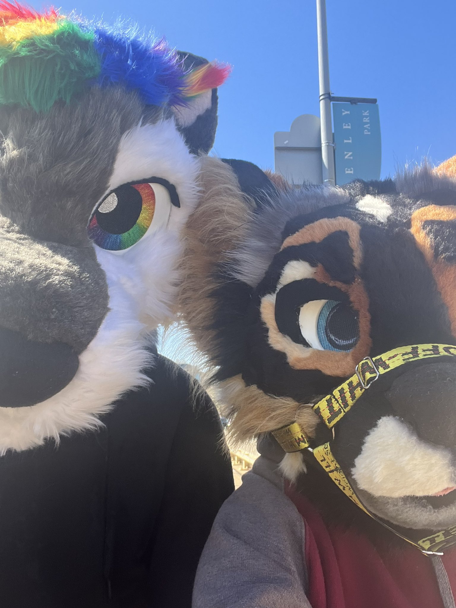 voltic (@voltic_the_fur) / Twitter