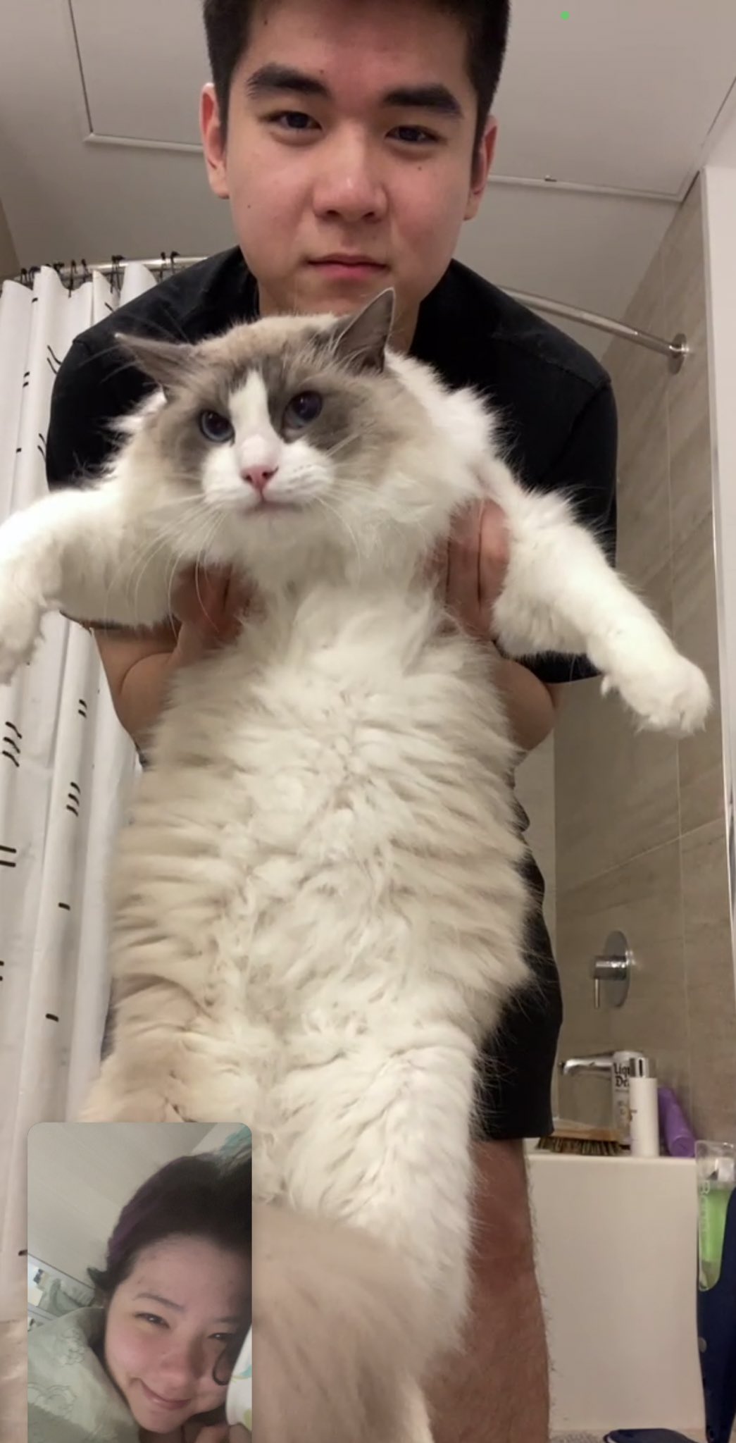 TL Mayumi on Twitter: "ming showering miko before / after https://t.co/HpbS5k3D7W" / Twitter