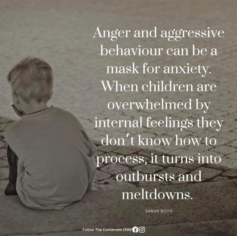Aggressive Behaviour Quotes
