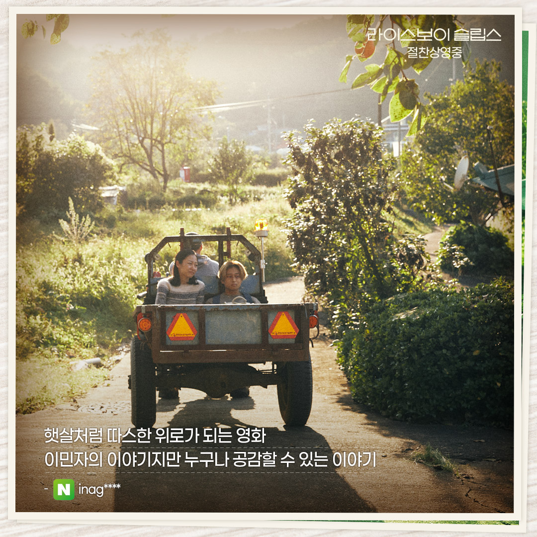 판씨네마 PANCINEMA on Twitter: ""햇살처럼 따스한 위로가 되는 영화" "이 영화의 모든 온도가 좋았다" 감동 후기 모음🥺 #라이스보이슬립스 #절찬상영중 ...