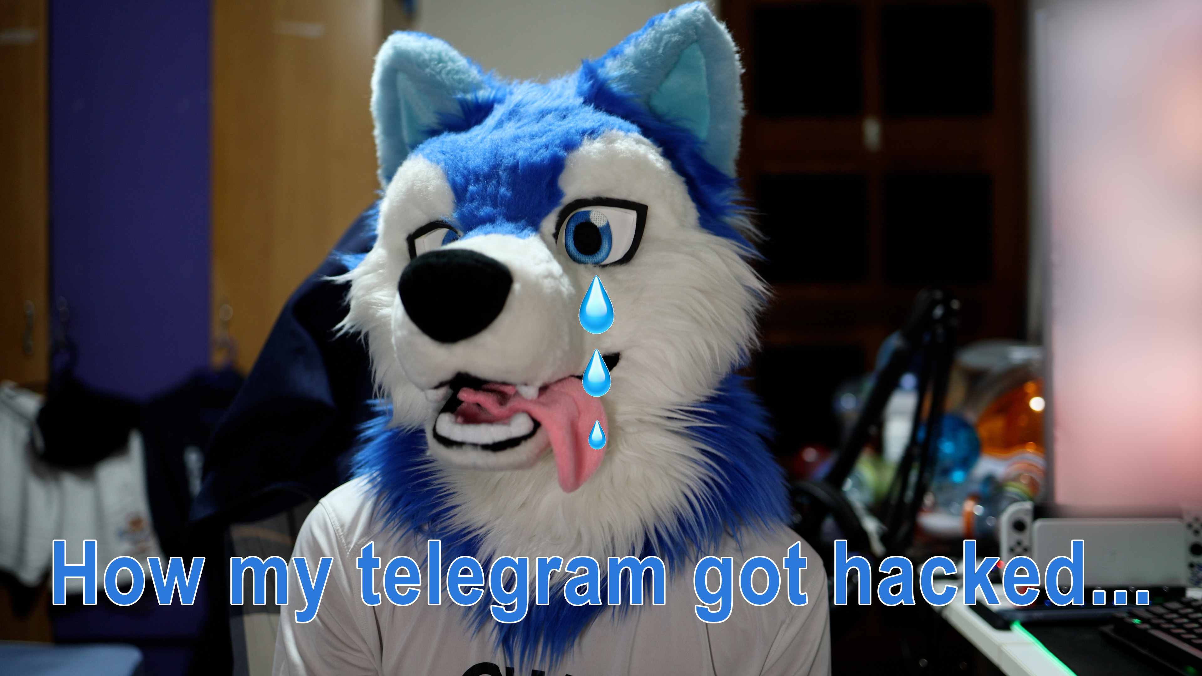 Hayden_Husky (@hayden_husky) / Twitter