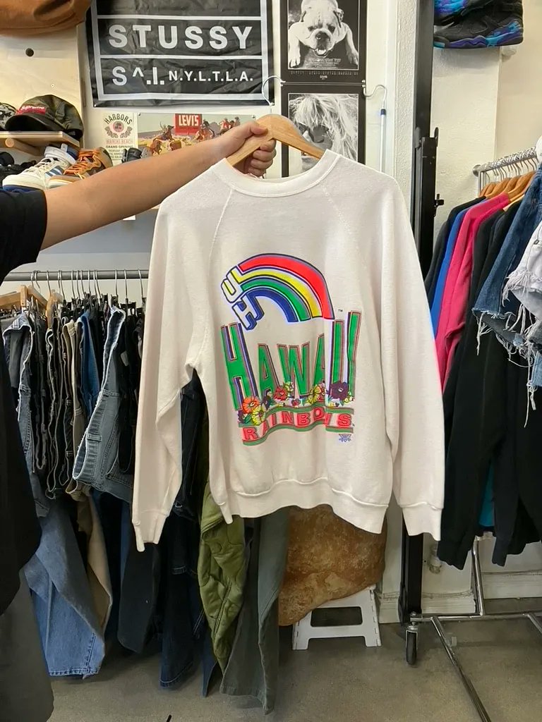 GINZA on Twitter: "今年の夏はハワイに行きたい！ライターYが教えてくれたハワイのおすすめスポット🌊 https://ginzamag.com/lifestyle/kyoto15/…"