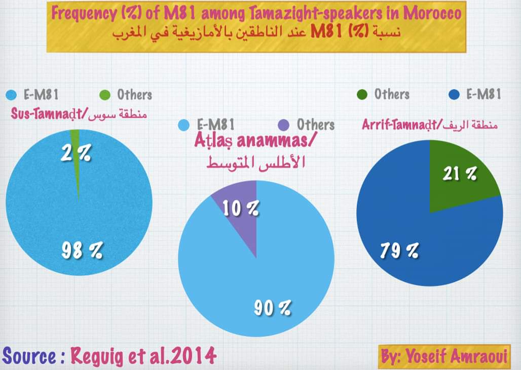نسبة السلالة E-M81 الأمازيغية لوحدها في بعض المناطق الناطقة بالأمازيغية كلغة أولى في المغرب ...