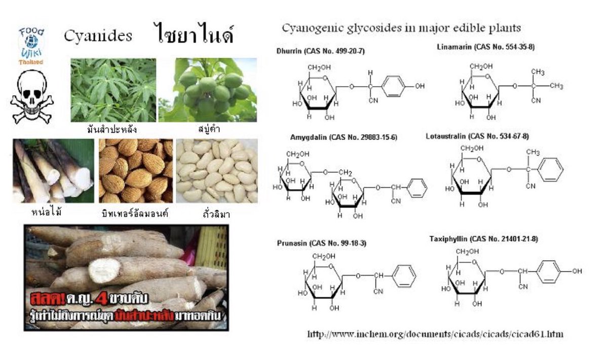 หิวก๋วยเตี๋ยว on Twitter: "RT @soojijah: #ไซยาไนด์ (Cyanide) เป็นสารประกอบที่มีความเป็นพิษ ซึ่ง ...