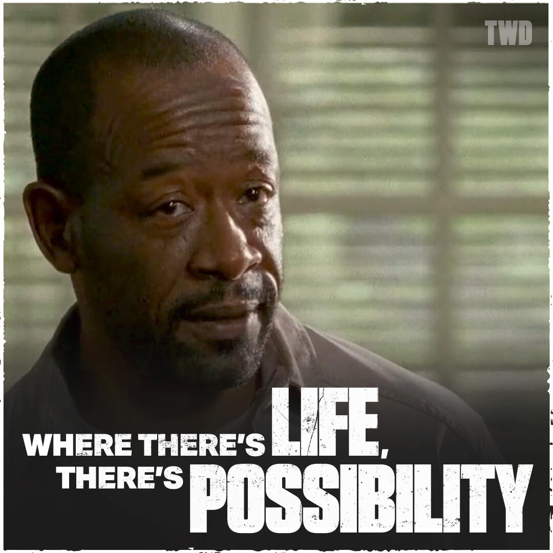 Twd Morgan Memes Season Four Memes The Walking Dead Fansite
