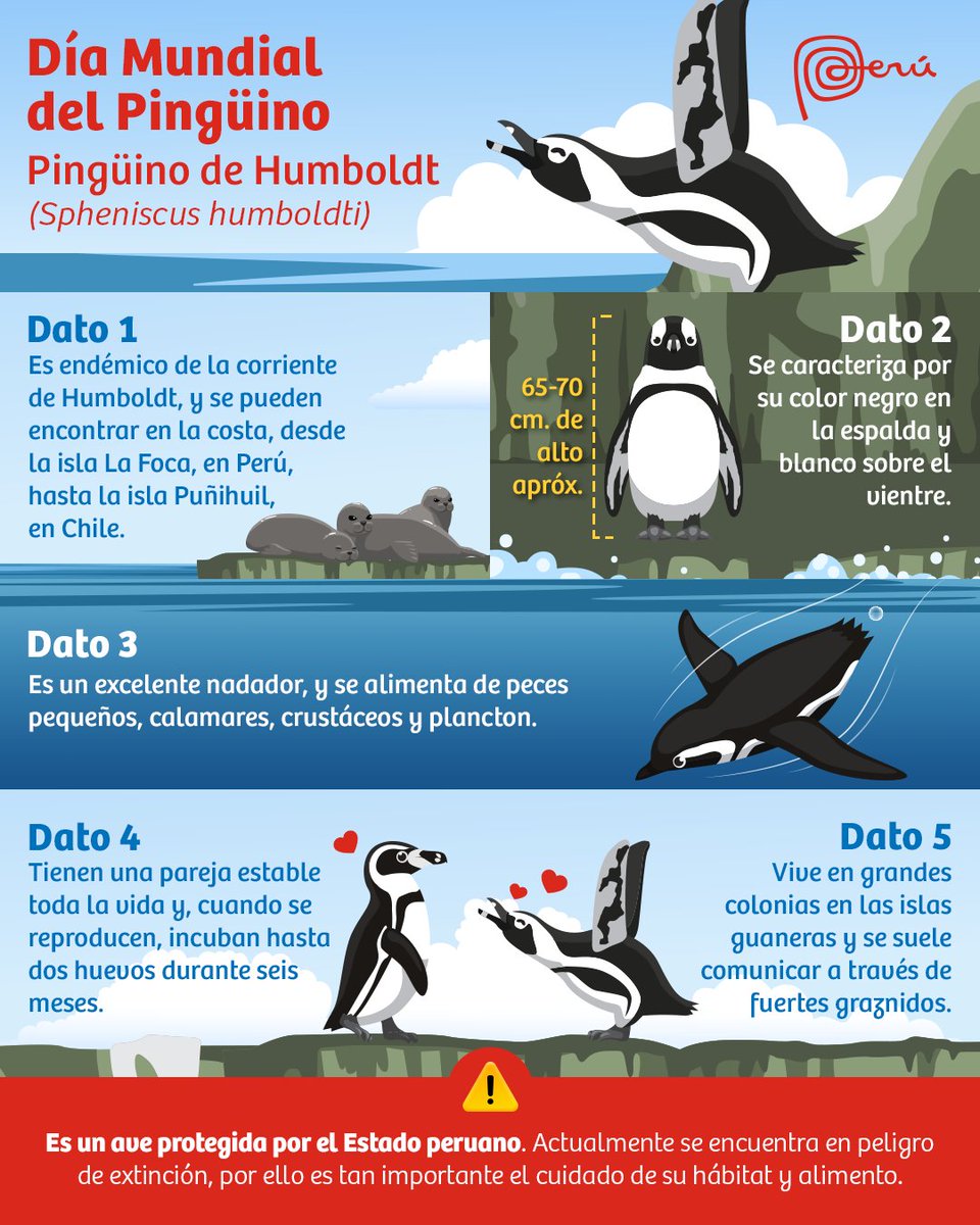 Bicentenario Perú on Twitter: "RT @marcaPERU: ¡Día Mundial del Pingüino ...