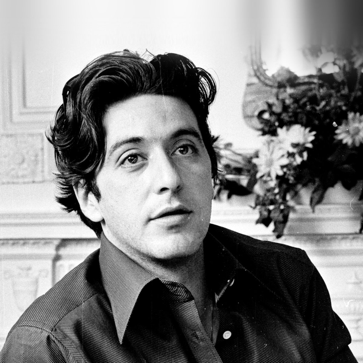 Alpa Chino Black And White