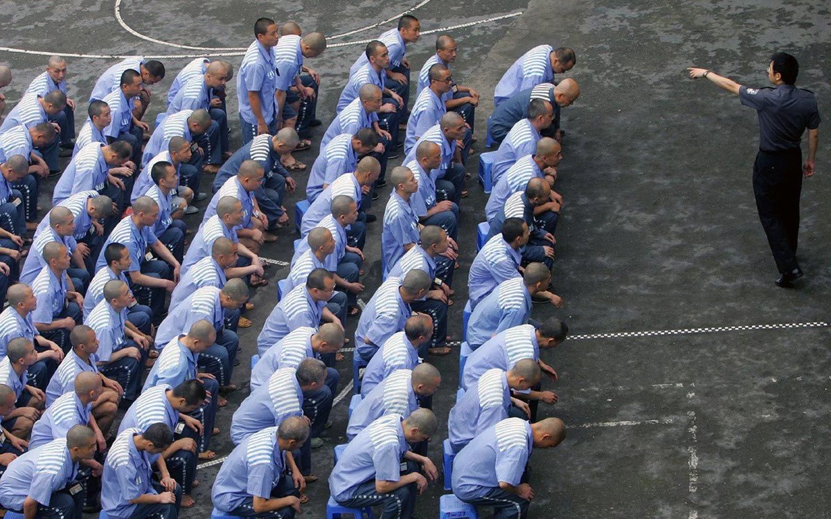 Sinan Reis hemen in o bindiğin Çin atından.. | Root