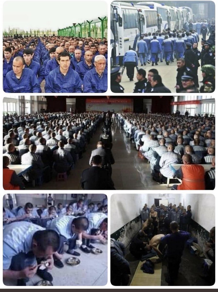 Sinan Reis hemen in o bindiğin Çin atından.. | Root