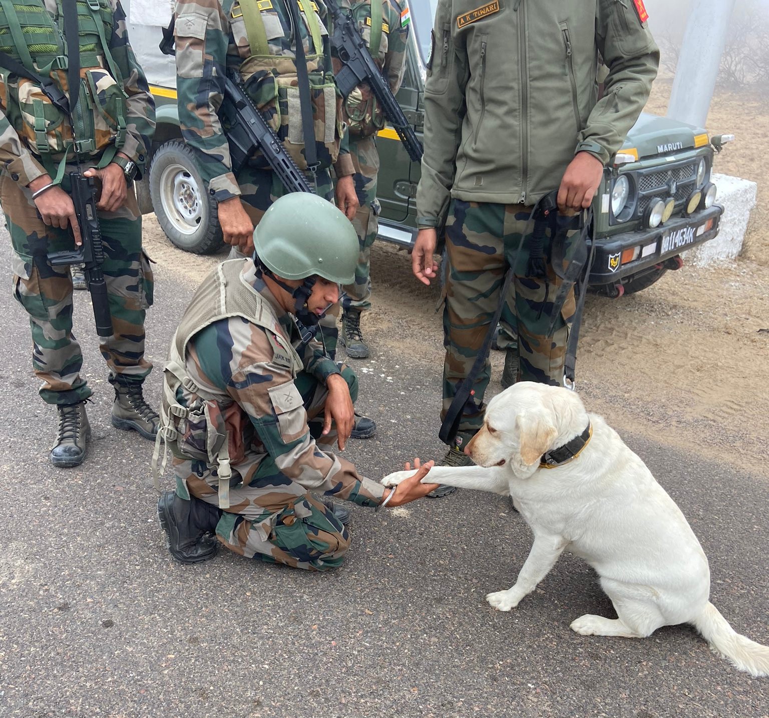 Indian Army Dogs Training