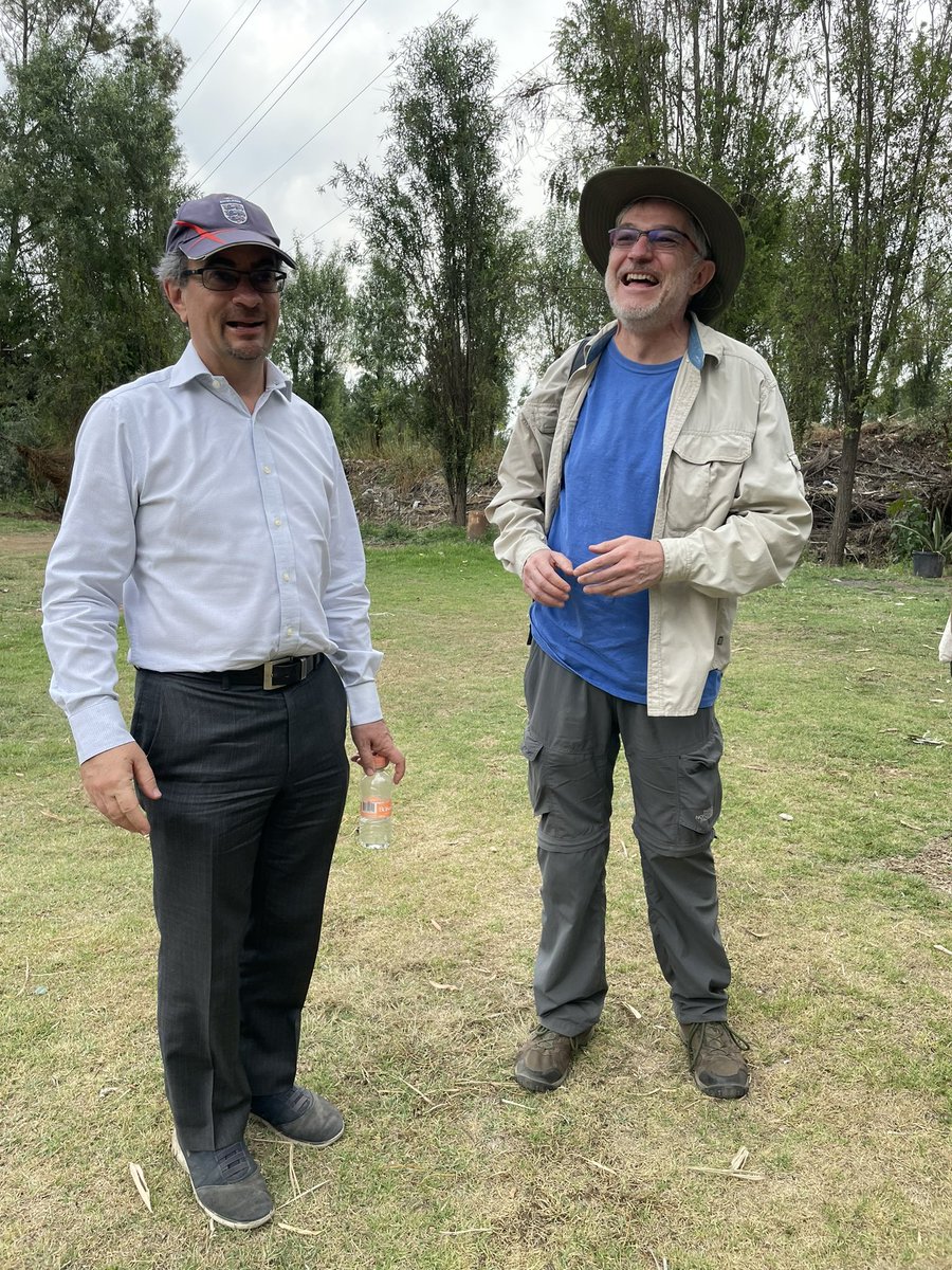 Uk In Mexico🇬🇧🇲🇽 On Twitter El Ajolote Se Encuentra En Estado Crítico
