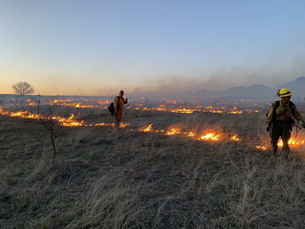 AZ State Forestry on Twitter: AZ State Forestry on Twitter:
