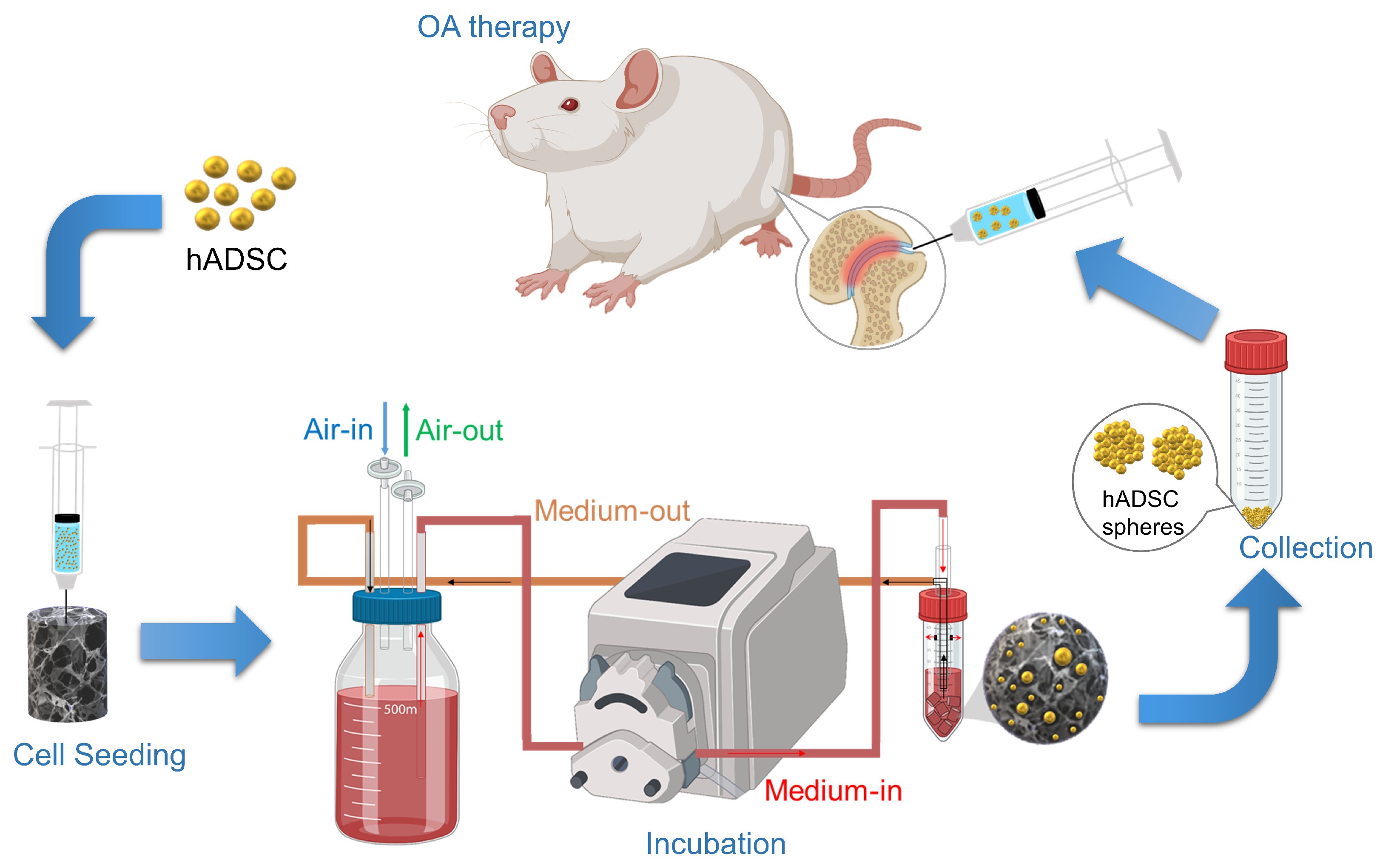 IJMS MDPI (@IJMS_MDPI) / Twitter