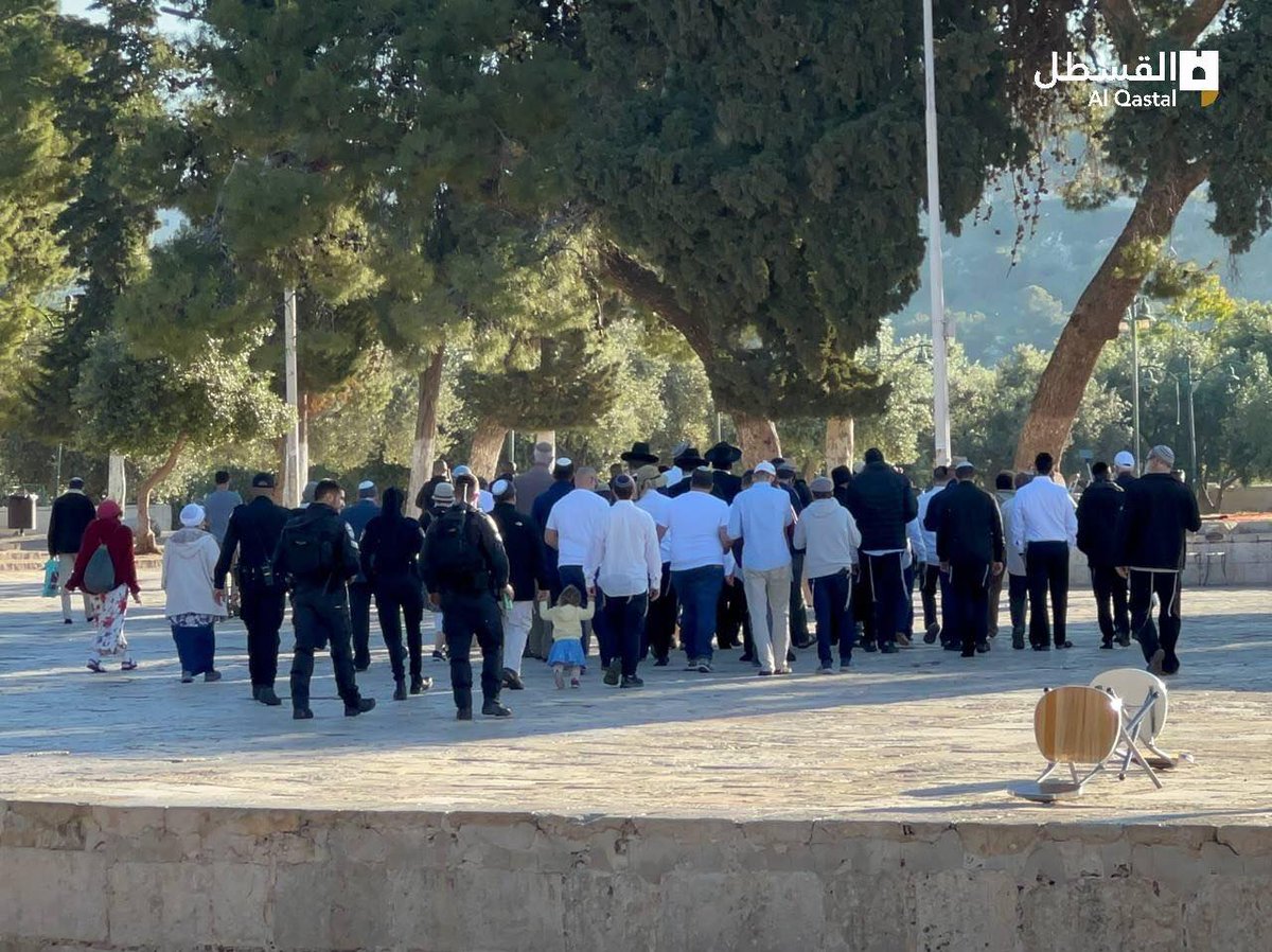 شبكة قدس الإخبارية On Twitter تغطية صحفية عشرات المستوطنين يواصلون