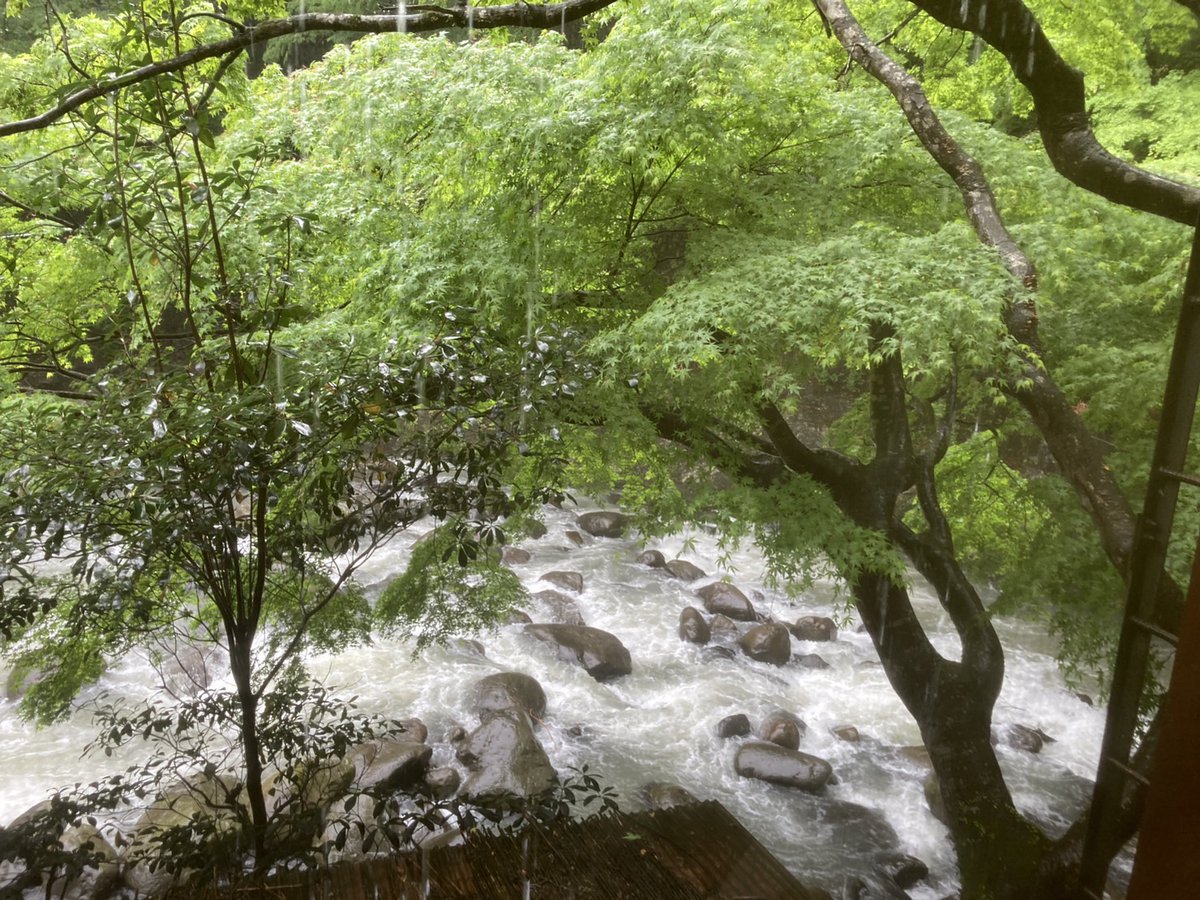 cats on Twitter: "RT @hakone_navi: おつナビ( 'ч' )☔ 今日の箱根は激しい雨で外を歩くのが大変、、、😥 塔ノ沢の川も流れが激しいです☔ 一の湯本館で撮影 ...