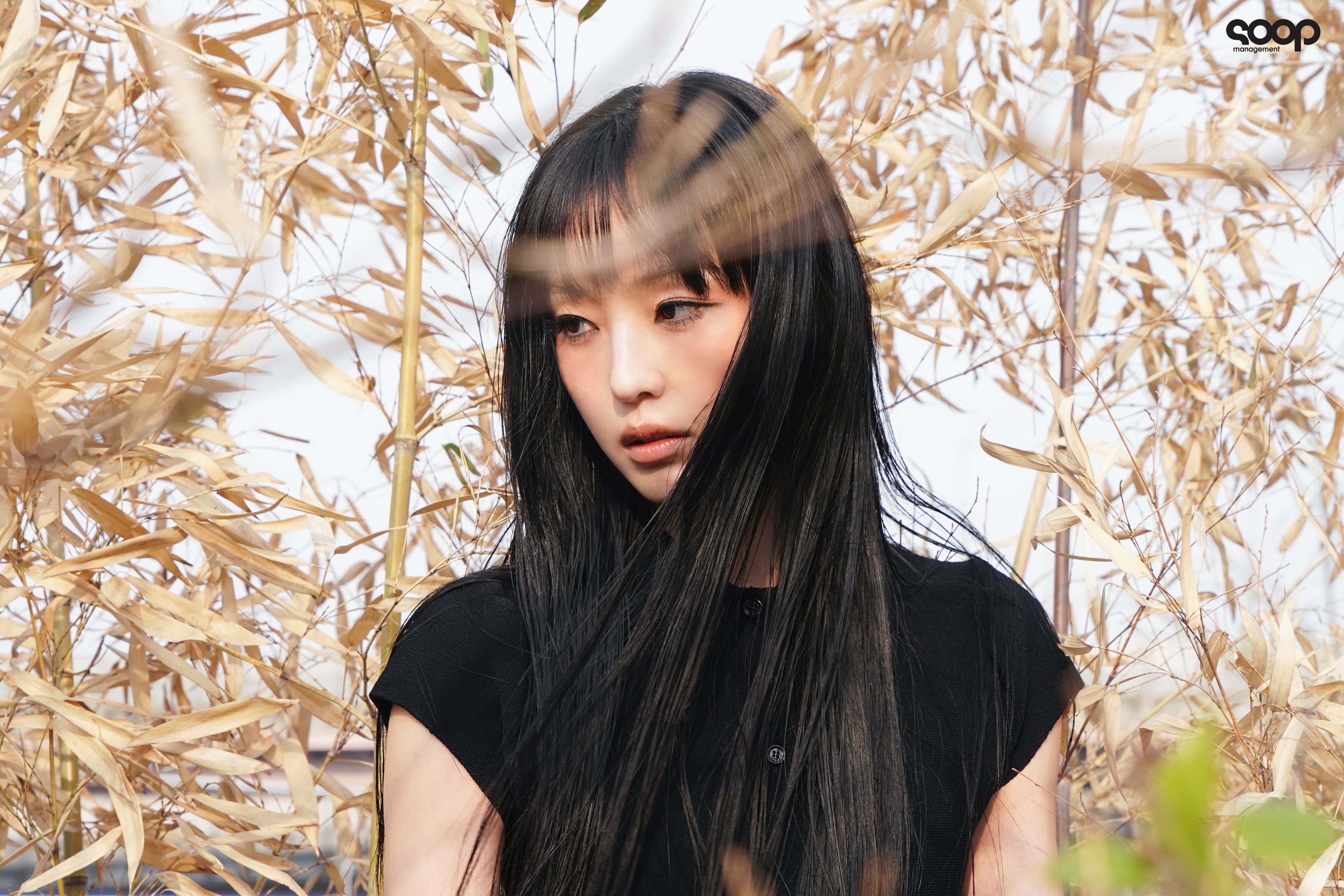 숲블리 (@soop_ent) / Twitter