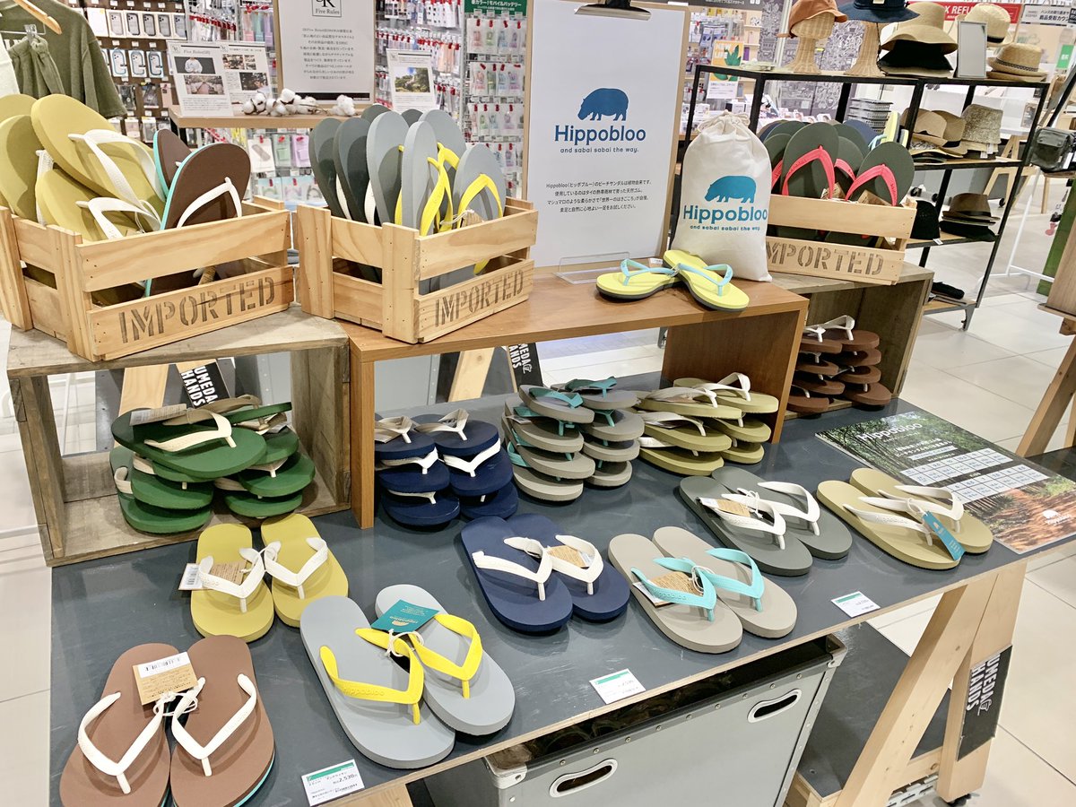 ハンズ梅田店 on Twitter: "人にも環境にもやさしいビーチサンダル🌴「Hippobloo(#ヒッポブルー)」販売中🦛🩴 使用しているのはタイの熱帯雨林で育った天然ゴム。マシュマロの ...