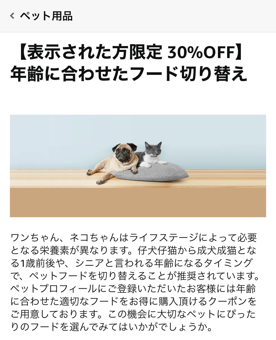 ホワホワちゃん (@howahowa_chan) / Twitter