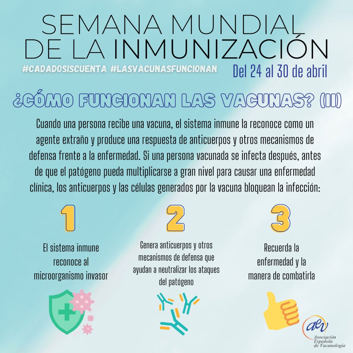 Vacunas.org on Twitter: "💉 Cuando una persona recibe una vacuna, el sistema inmune la reconoce ...
