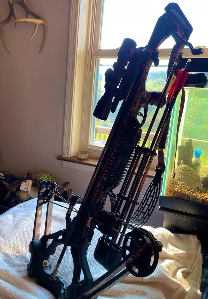 ChefCooke on Twitter: "Have You ever shot a Crossbow?"