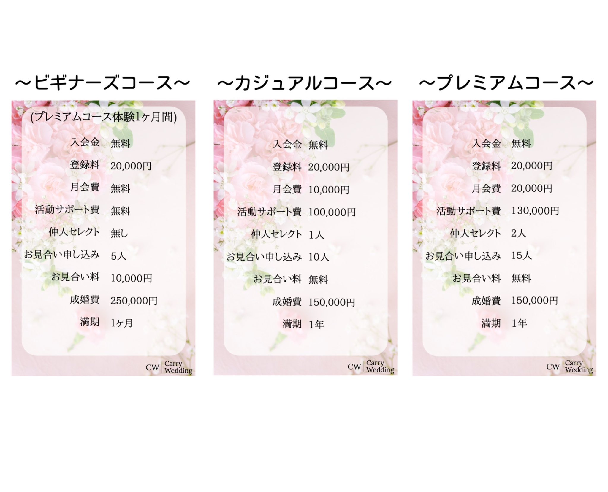 IBJ【公式】Carry Wedding (@carrywedding) / Twitter