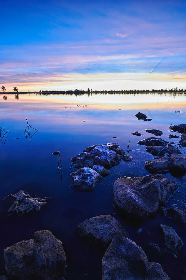 The 9 Mayor Arts on Twitter: "RT @ImagesByJonEvan: art for the eyes! https://buff.ly/32KBudy ...