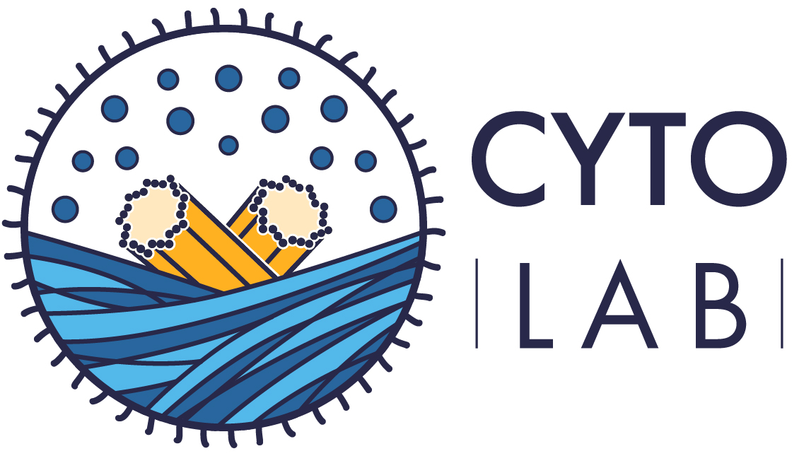 Elif Nur Firat-Karalar on Twitter: "CytoLab finally has a logo, which reflects our research on ...