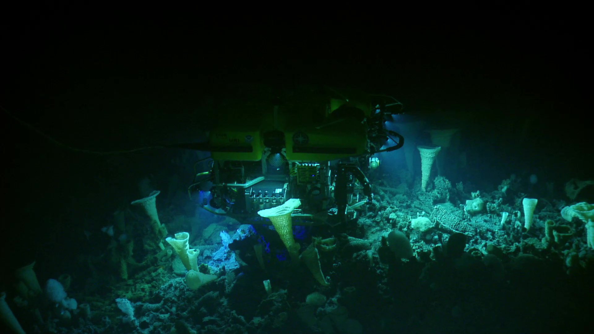 Northeast Pacific Deep-sea Exploration Project on Twitter: "Actual ...
