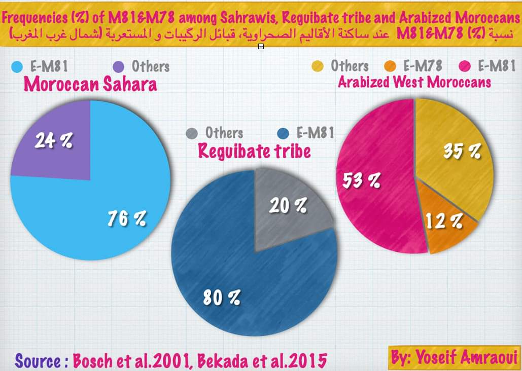 نسبة E-M81 و E-M78 في الأقاليم الصحراوية المغربية و عند قبيلة الرگيبات و الناطقين بالدارجة جهة ...