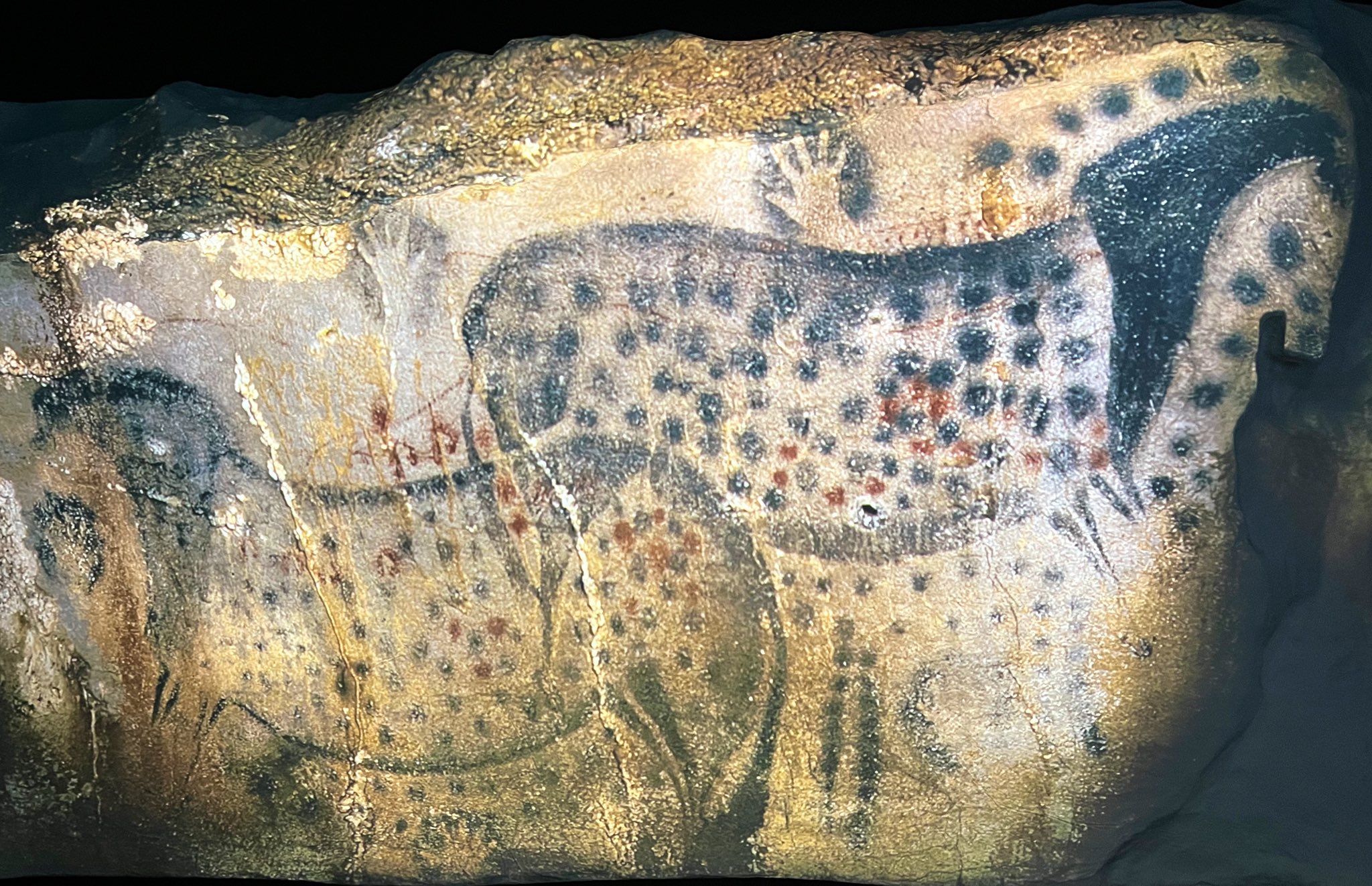 Spotted Horses Paleolithic