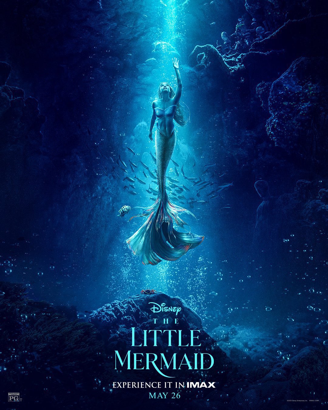 DiscussingFilm on Twitter: "New IMAX poster for ‘THE LITTLE MERMAID ...