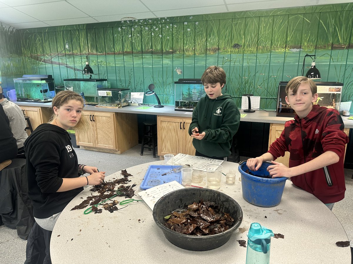 Carroll County Outdoor School on Twitter: "Shiloh MS week 3: purple ...