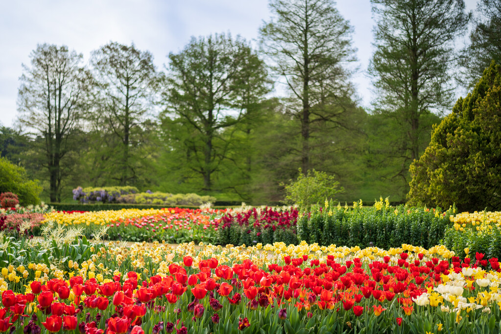 Longwood Gardens on Twitter: "Late blooming tulips have taken over on ...