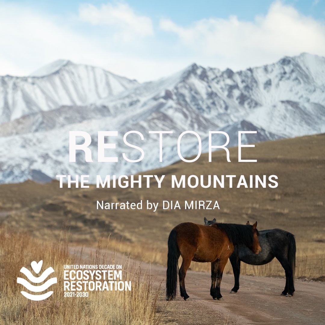 Ивана Стојковић On Twitter И ја тако не будем лења рекох дај да видим зашто и у ком контексту