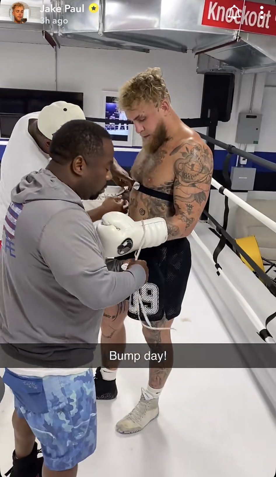 The Texas Butthole Tickling Bandit on Twitter: "@Brandon_M098 @ChamBoxing @jakepaul @RbnyJose ...