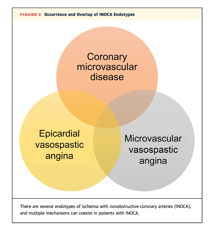 Does your patient have chest pain with normal coronary arteries? Did ...