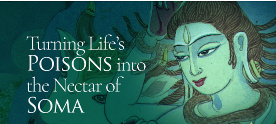 Why is only Bhagwan Vishnu called God of Maya, but not Bhagwan Shiva ...