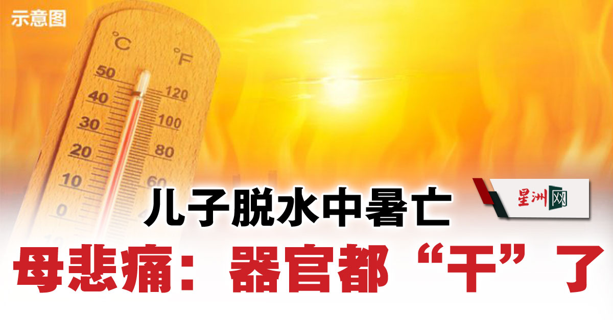 Sin Chew Daily 星洲日報 On Twitter 希望其他父母可以引以为鉴,不要让孩子在炎热天气下玩耍。 星洲日报