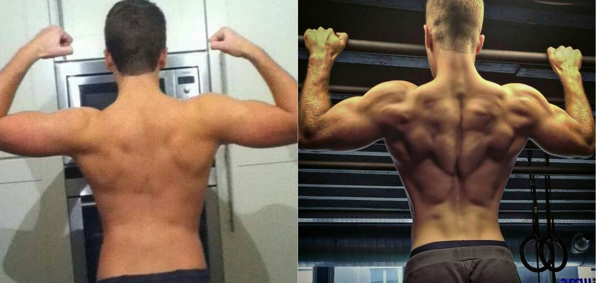Wide Back Muscles