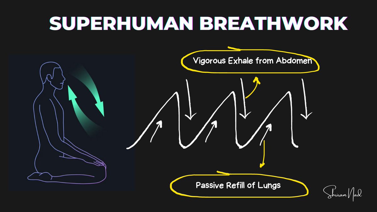 Scientists have revealed the MIRACULOUS secrets of breathwork But 99% ...