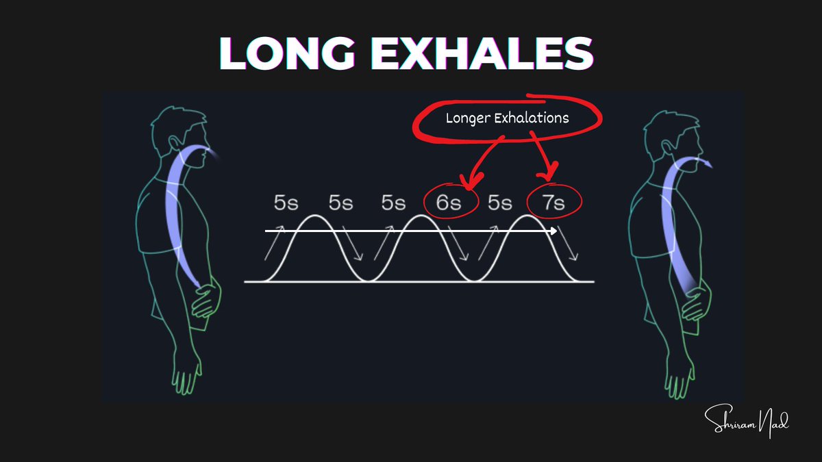 Scientists have revealed the MIRACULOUS secrets of breathwork But 99% ...