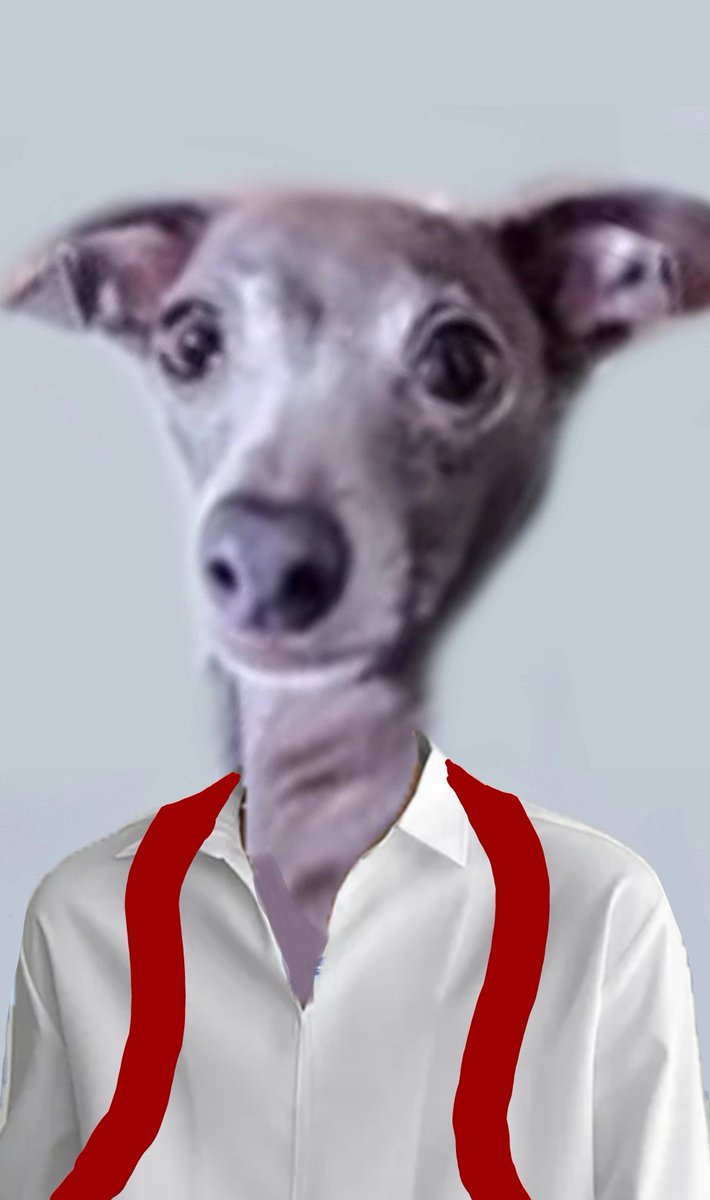 Mono⁰-¹ on Twitter: "Hello I'm actually eumppappa"