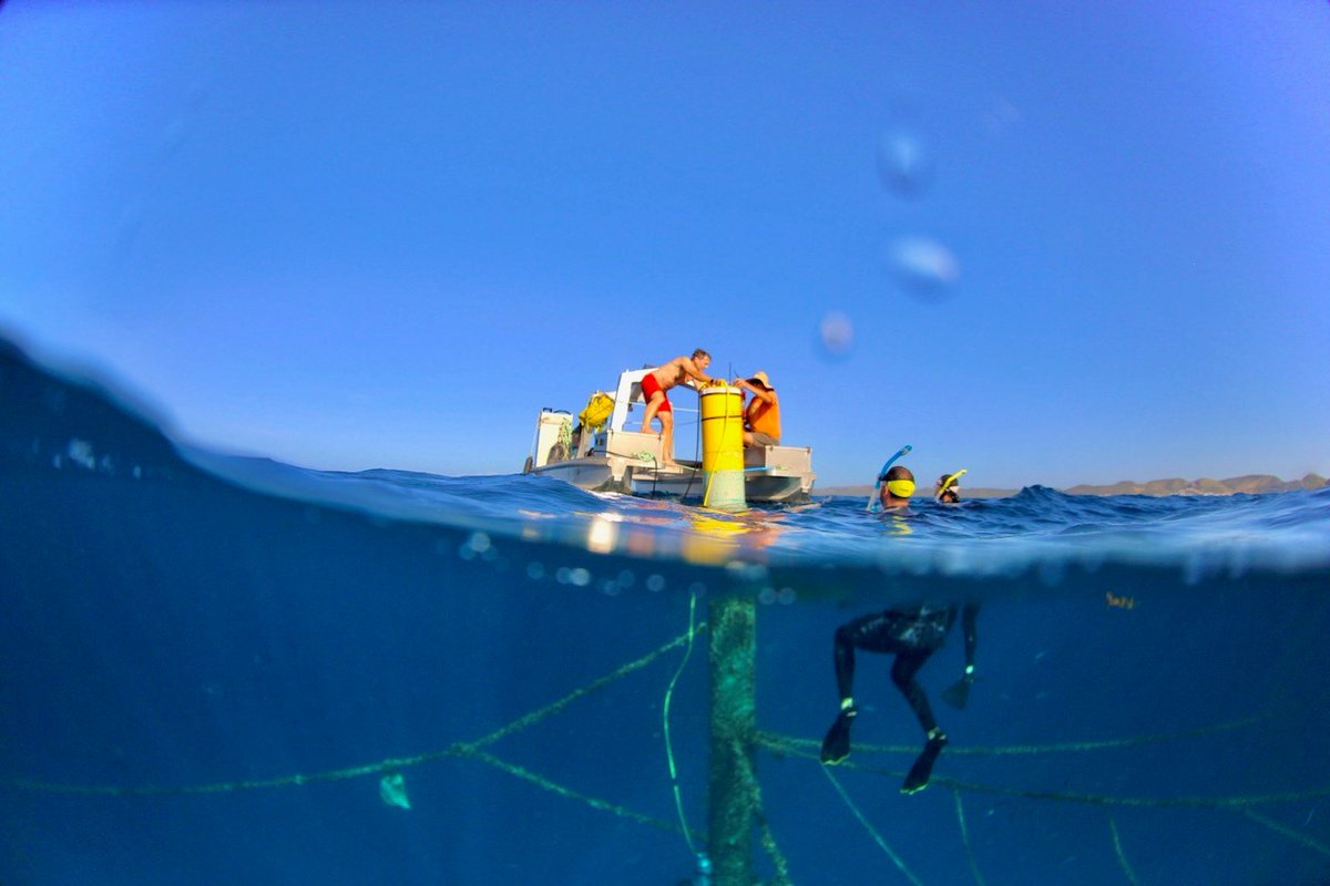 ARPA-E on Twitter: "ARPA-E Program Director Dr. Simon Freeman visited MARINER performer ...