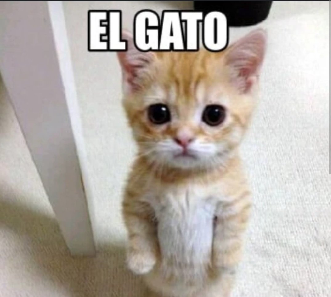 bloop-on-twitter-i-cant-be-the-only-one-who-thought-about-this-elgato