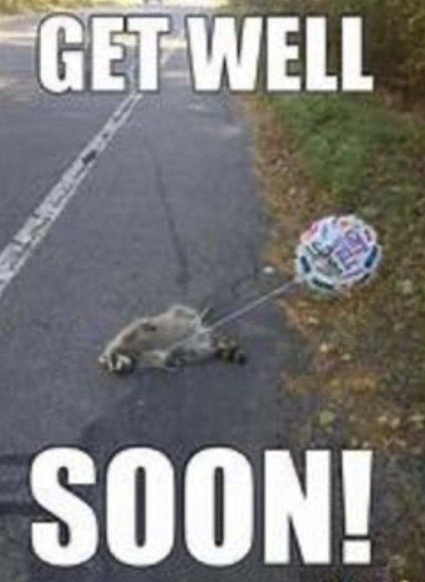 Funny Get Well Soon Memes