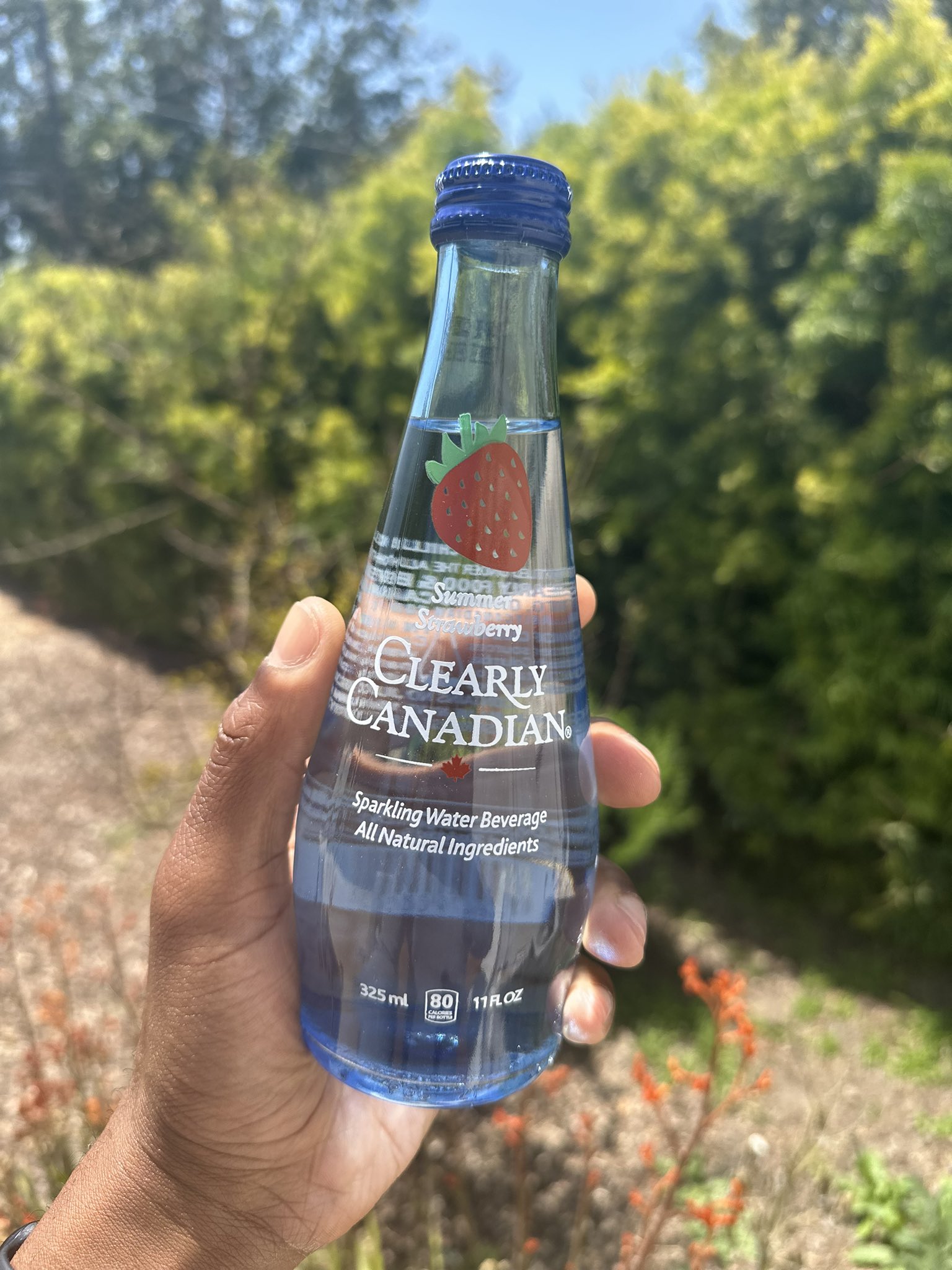 Clearly Canadian 1980s
