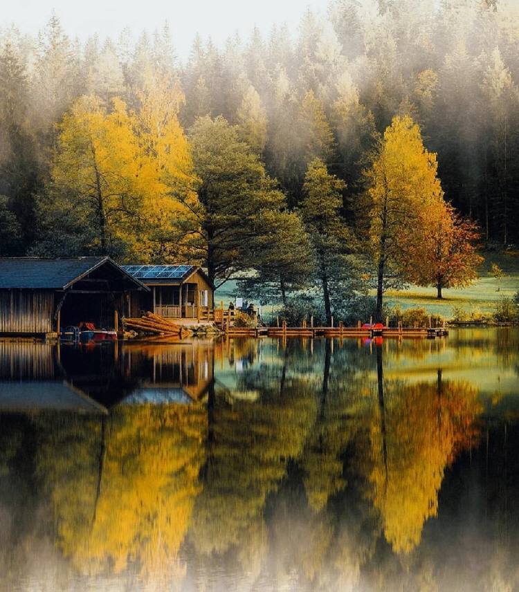 Pure Nature (@PureNature_1) / Twitter