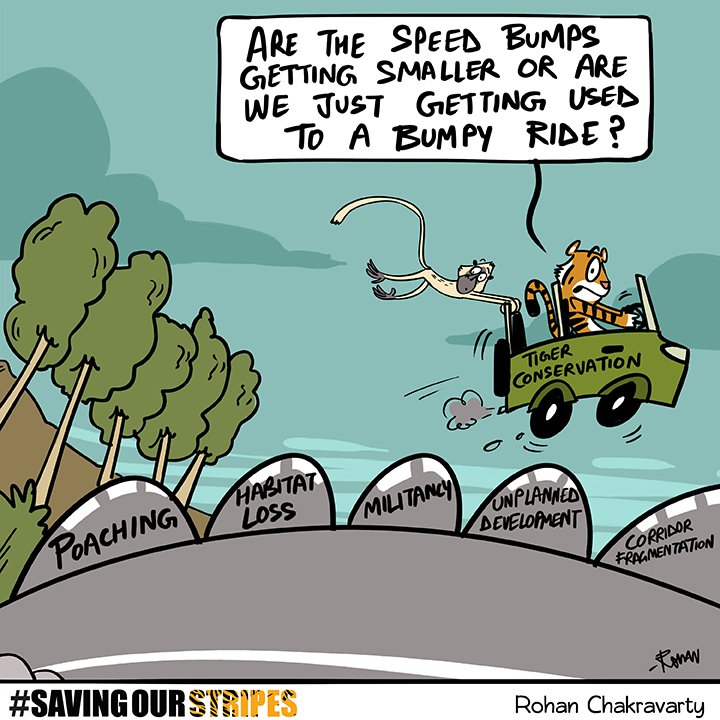 Bumpy Road Cartoon