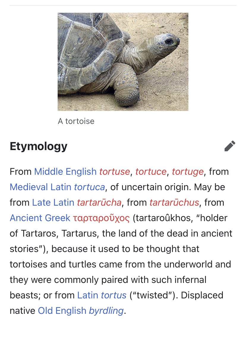 I’ve been thinking about the World Turtle again. And this poem from ...