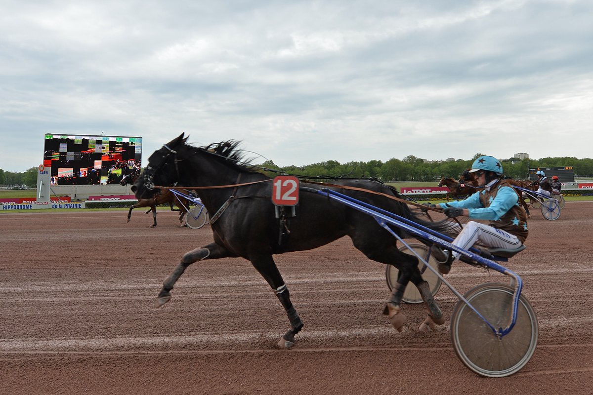 Ville De Caen On Twitter 🐴🏆 Le Prix Des Ducs De Normandie Réunit Les